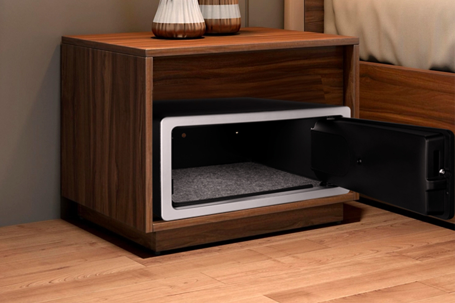 Sentinel II 41 - SafeDecisions