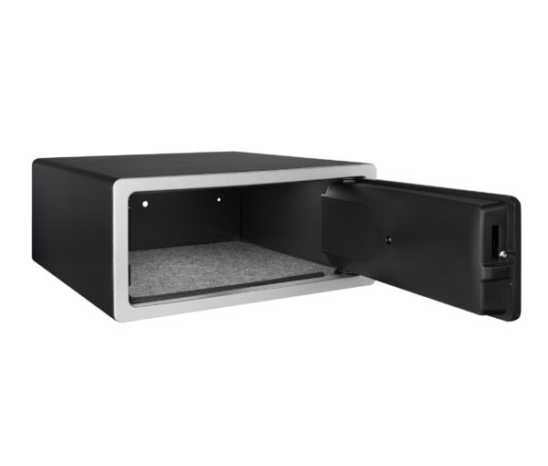 Sentinel II 41 - SafeDecisions